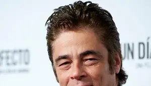 Diane Lane Net Worth | Celebrity Net Worth