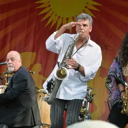 Tim Cappello Net Worth | Celebrity Net Worth