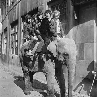 Nigel Olsson Net Worth | Celebrity Net Worth