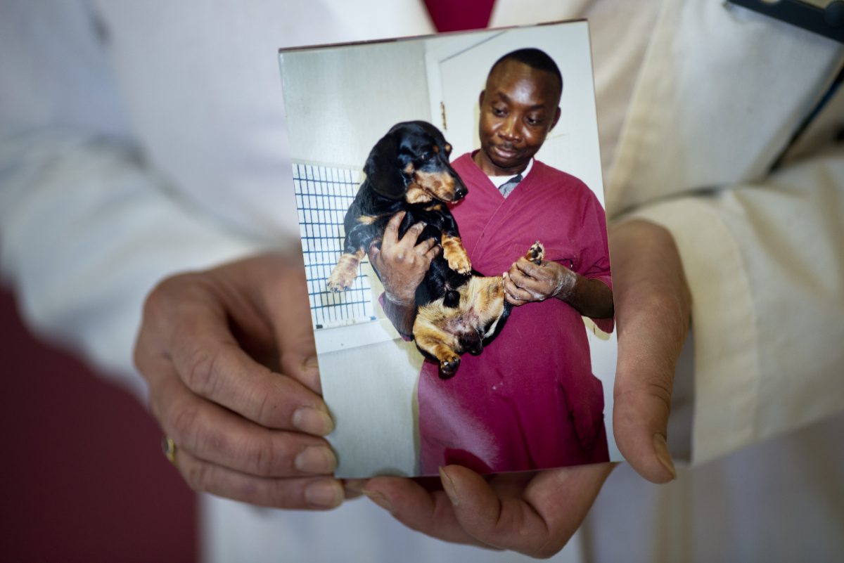 This Guy Became A Multi-Millionaire Thanks To.... Fake Dog Testicles ...